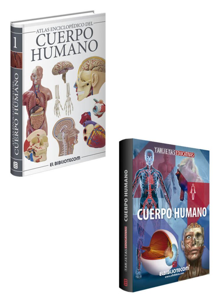 Pack – Cuerpo humano – Mi biblioteca portable
